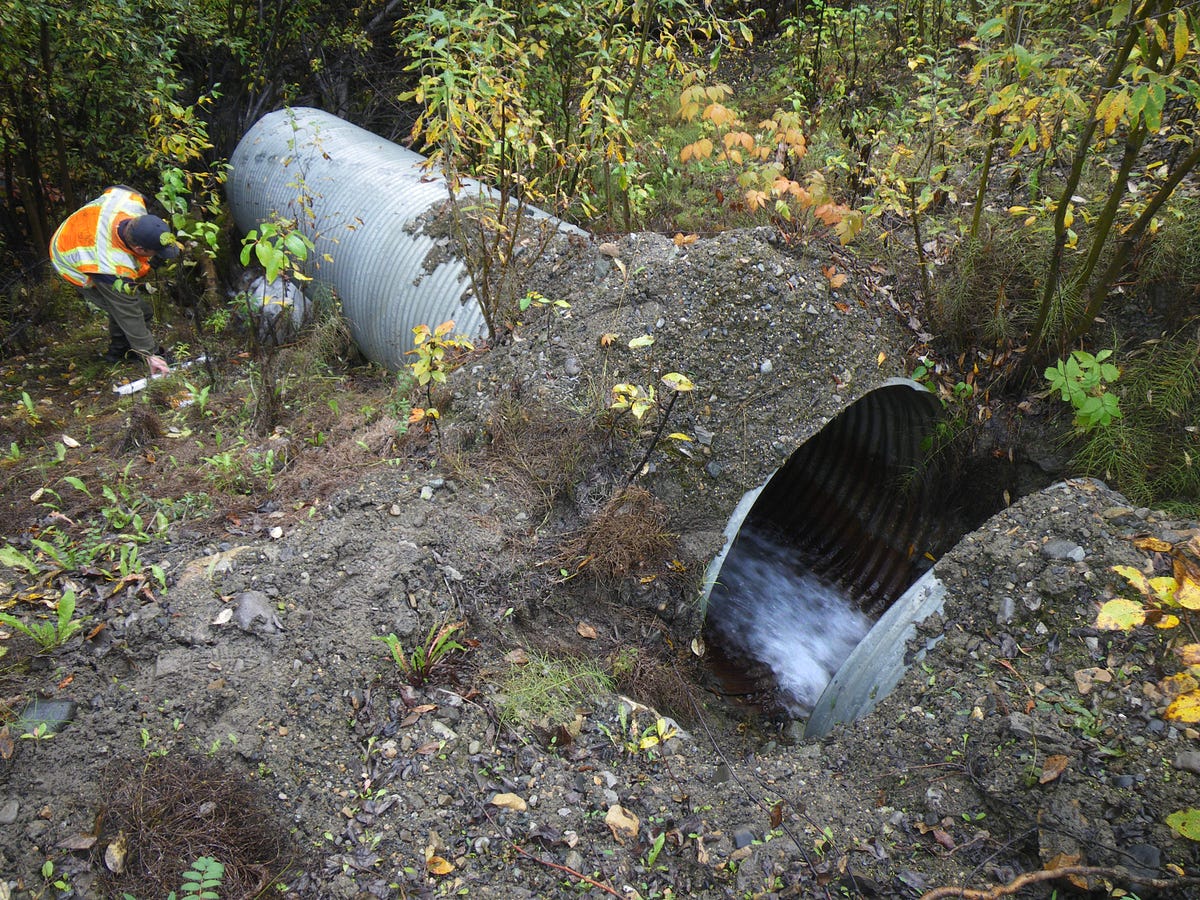 Rocky Road (culvert woes, not the ice cream) – Conservation in Action ...