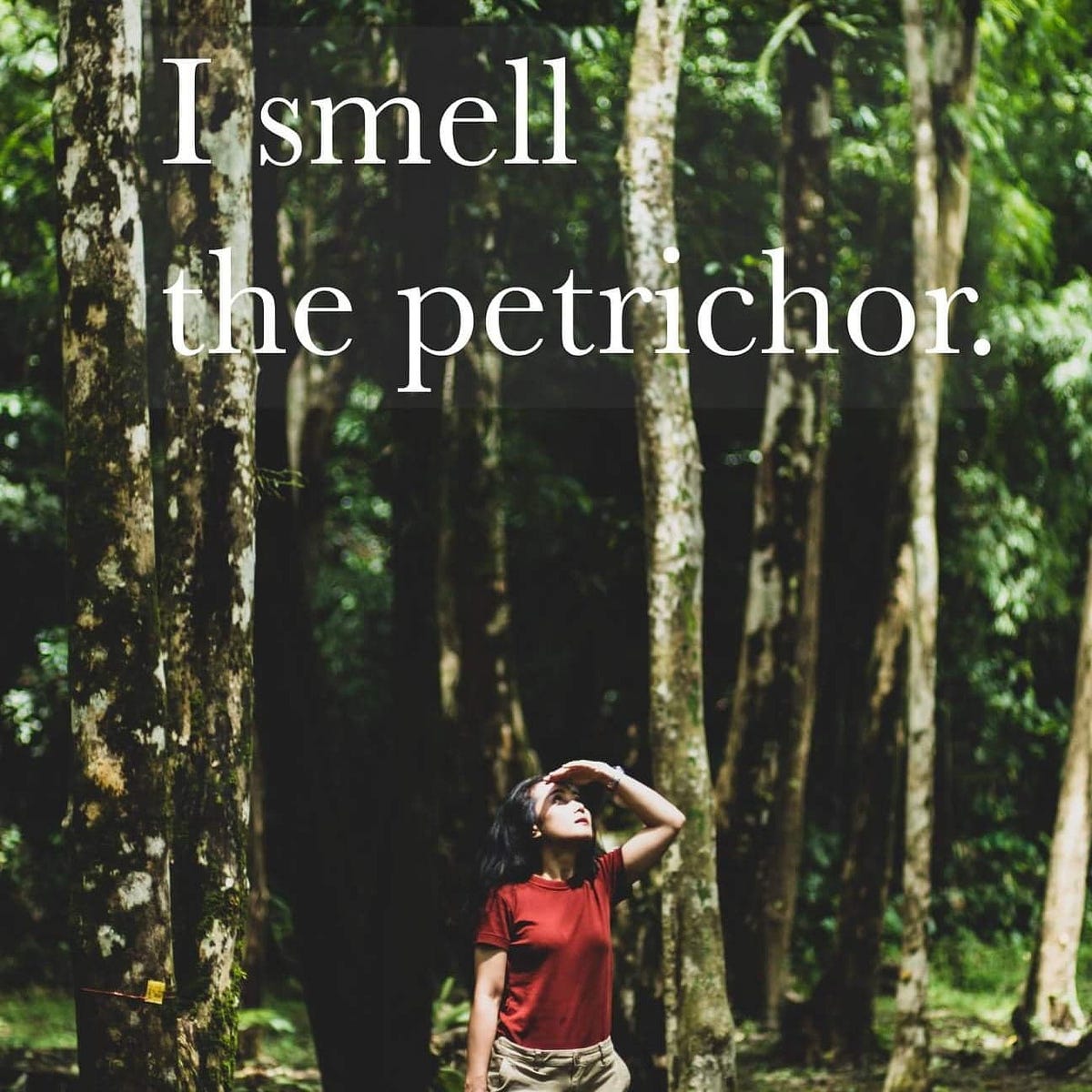 PETRICHOR – Medium
