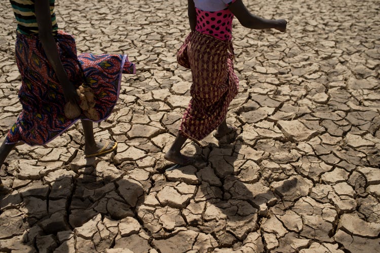 Hands, Dams and Watering Cans: Overcoming Drought in Burkina Faso