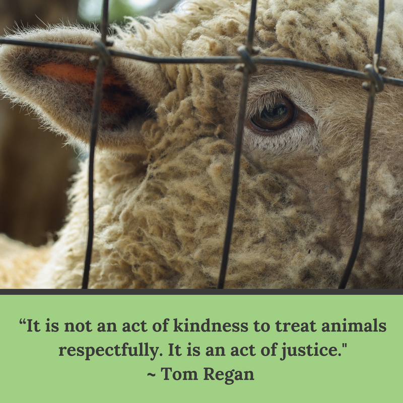 Animal rights, social justice and the “five faces of oppression”: Part 1