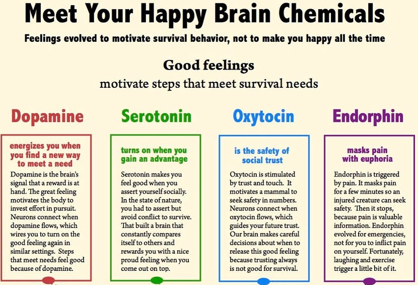 This video series is a great introduction on basic neurochemistry.