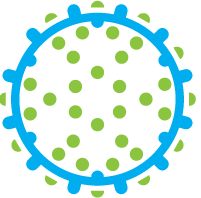 BioQuest - Medium