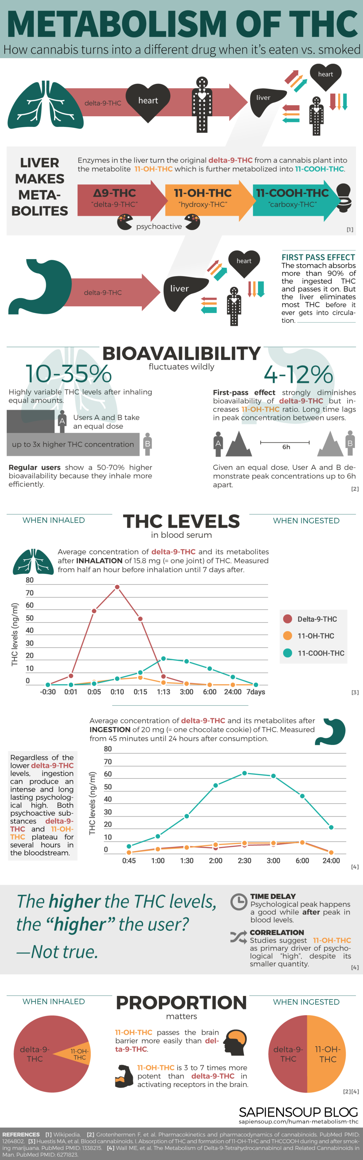Human Metabolism of THC – SAPIENSOUP – Medium