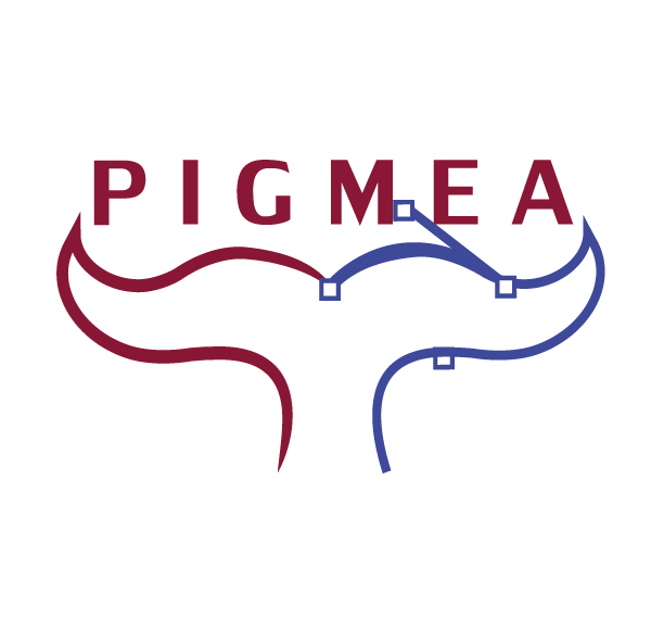 Pigmea CR - Medium