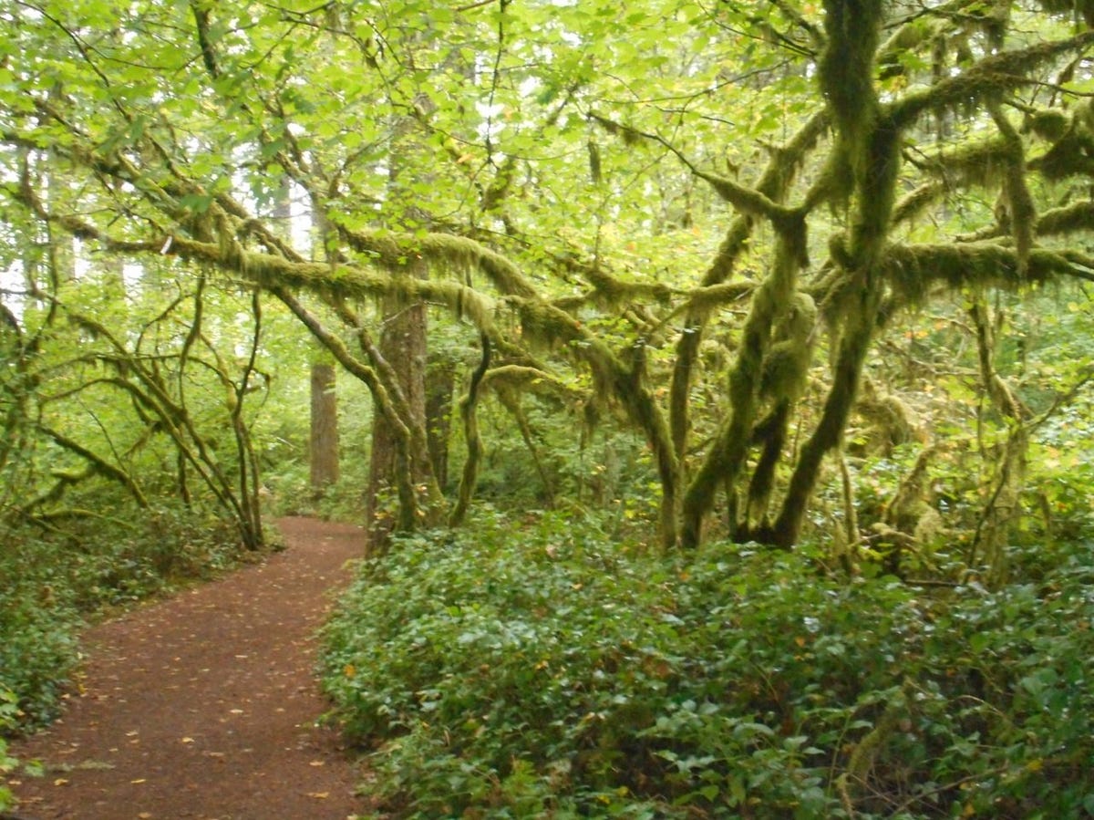 A Path Less Traveled – Medium