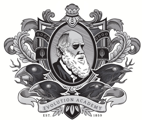 Evolution Academy - Medium