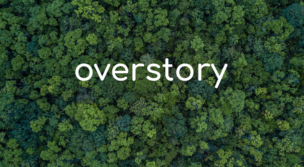 overstory - Medium