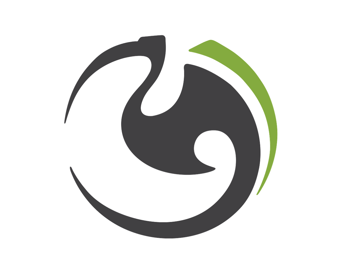 Token Ibis – Medium
