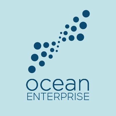Ocean Enterprise Collective - Medium