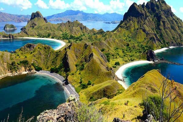 Flores Tour Komodo - Medium