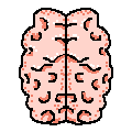 Bit Brain – Medium