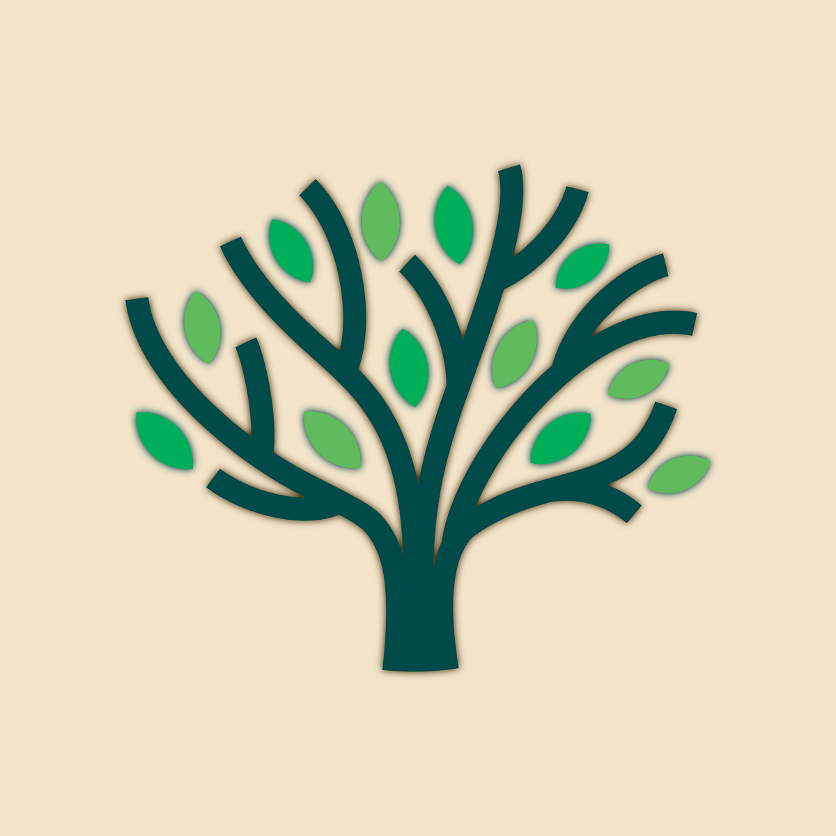 The Oak - Medium