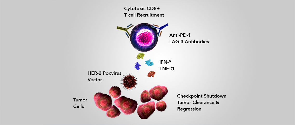What’s Next in Immune checkpoints: Is LAG-3 emerging as a potential ...
