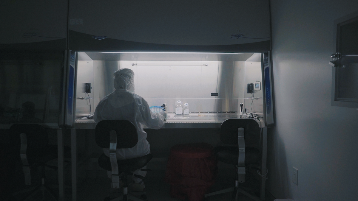 Stem Cells Medium