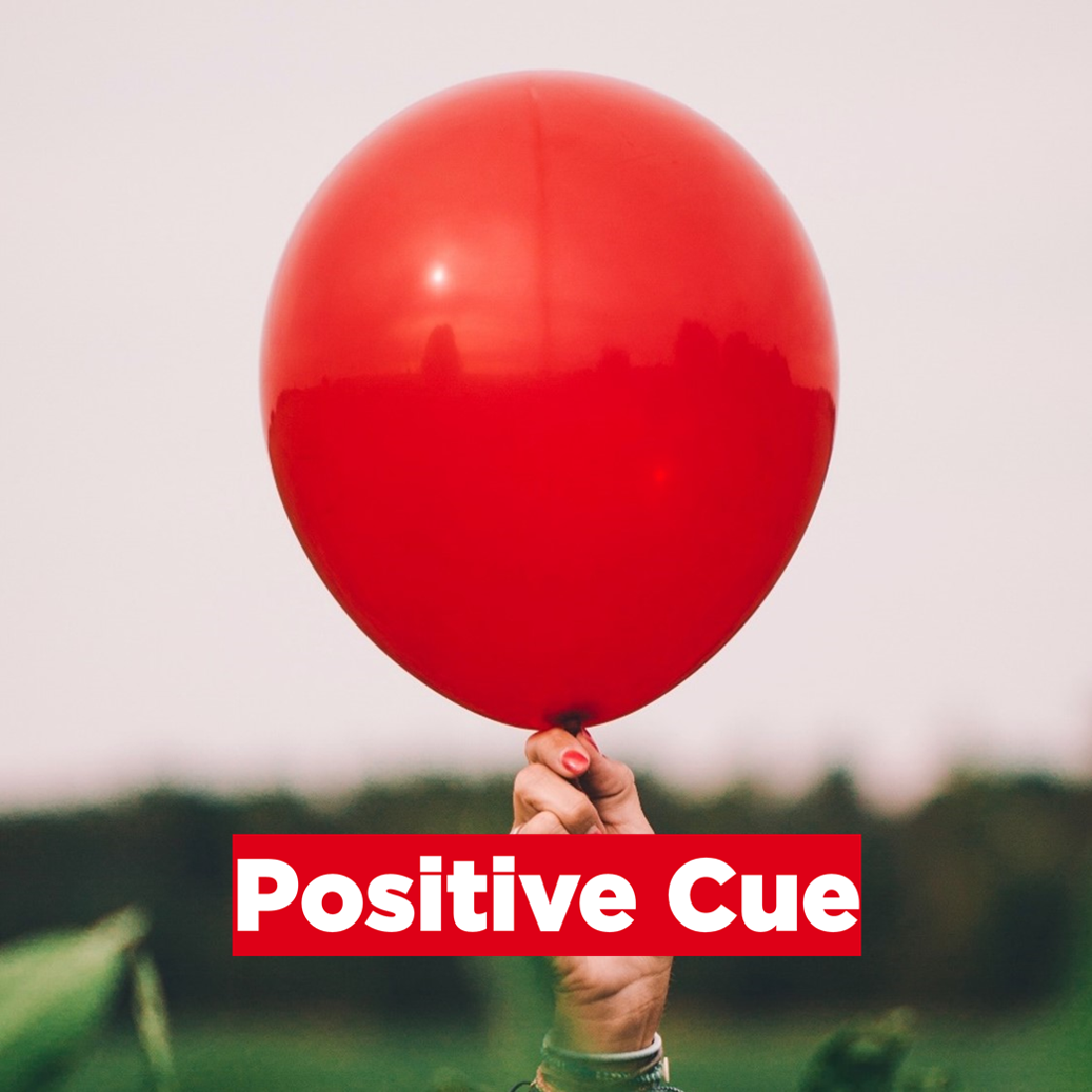 Positive Cue - Medium