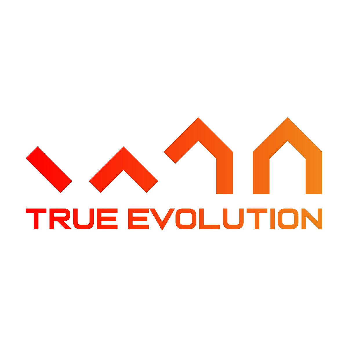Life Evolution – Medium