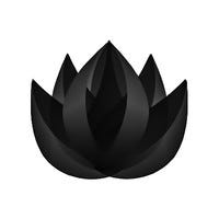 Black Lotus Ventures – Medium