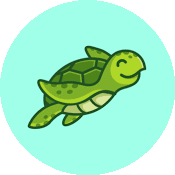 Flying Turtle! - Medium