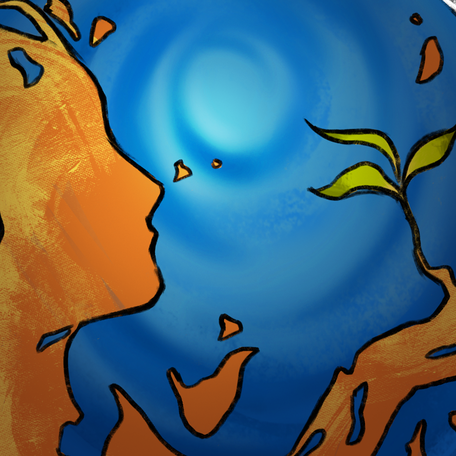 Regenerative Insights - Medium