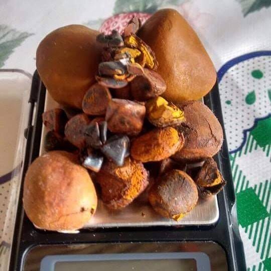 Grade A Ox Gallstones Cattle Gallstones Cow – Medium