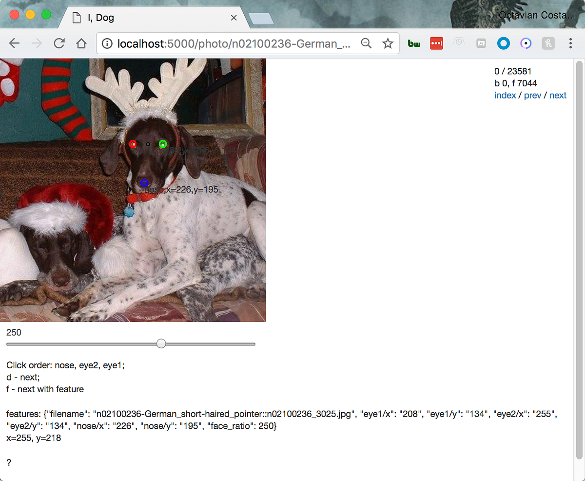 What I’ve learned building a deep learning Dog Face Recognition iOS app