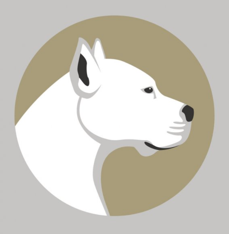 dogocoin - Medium