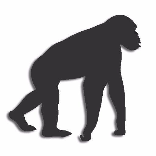 Evolutionaries - Medium