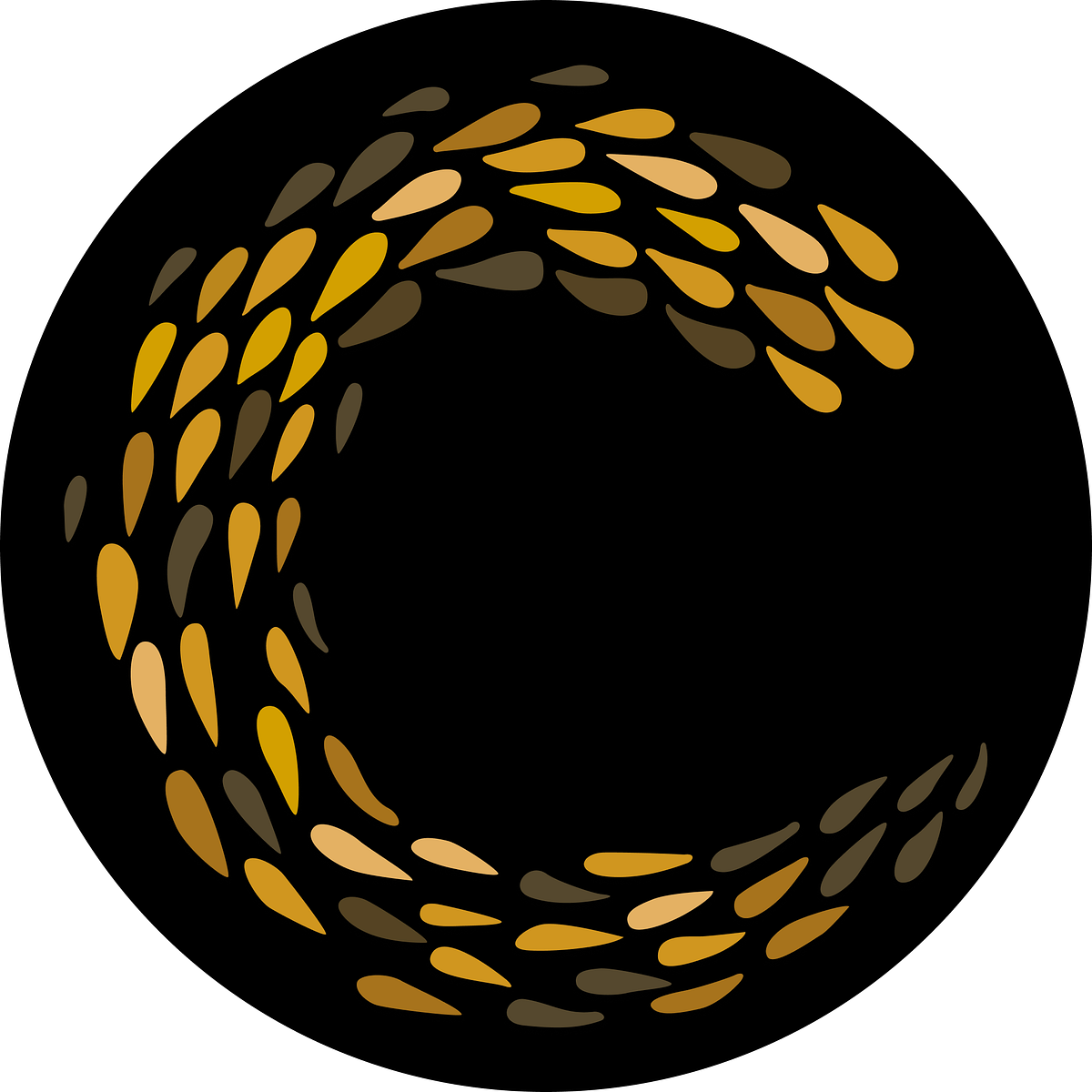 CaviarLabs – Medium