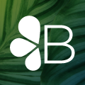 BloomX - Medium