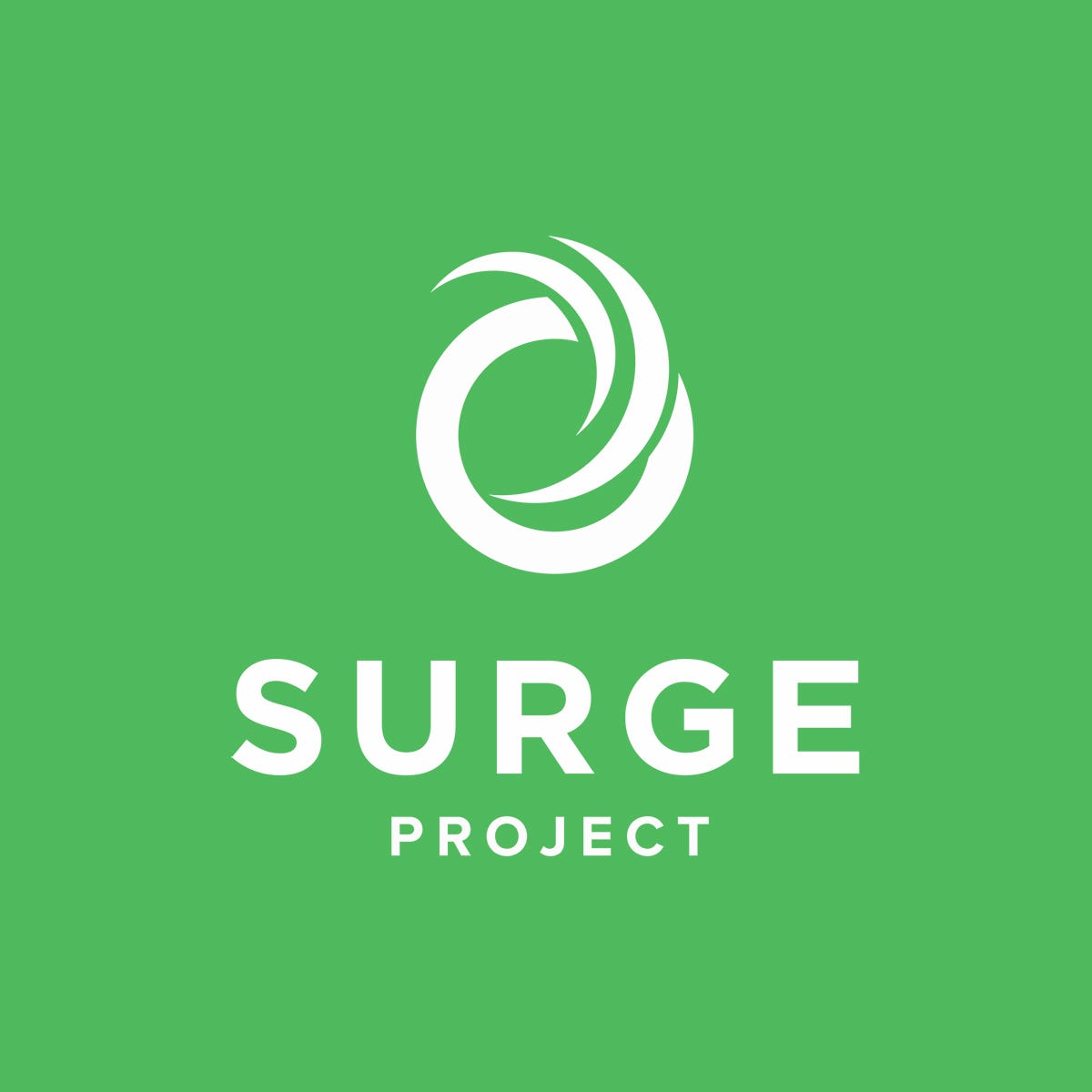 The Surge Project - Medium