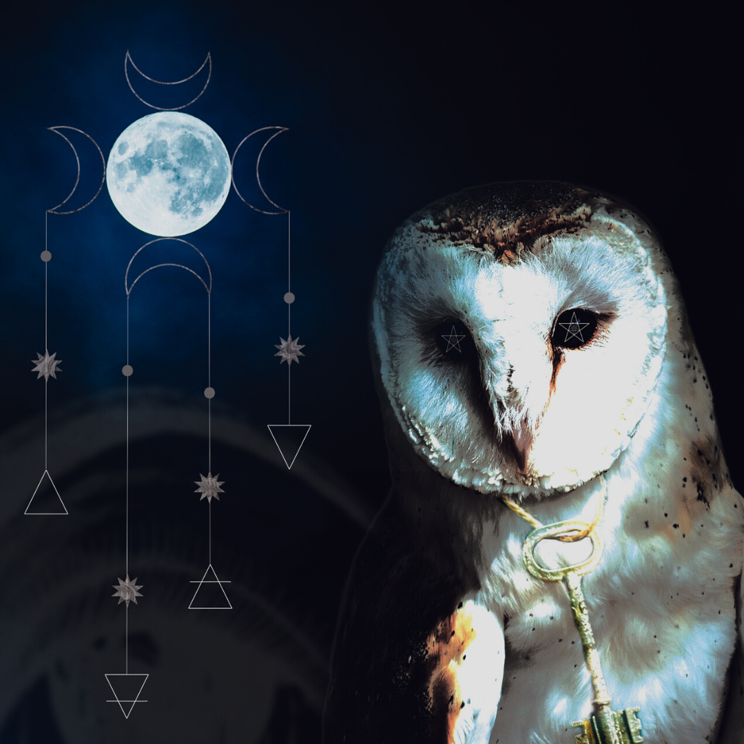 Inter Mundos Magicae – Medium