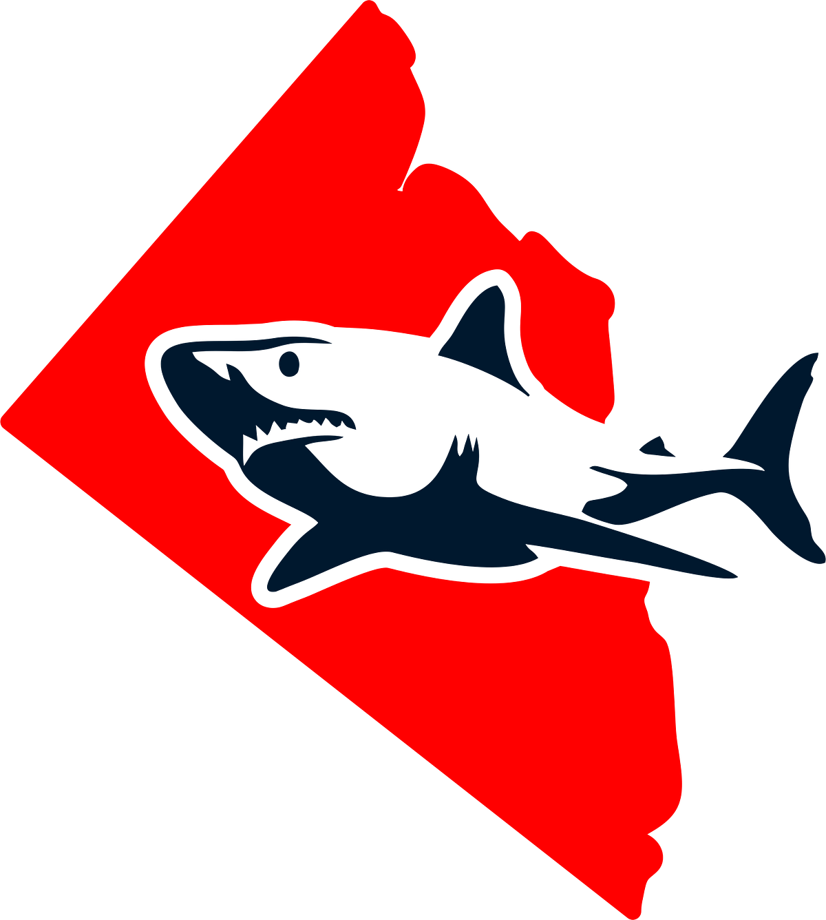 Red Triangle Tech - Medium
