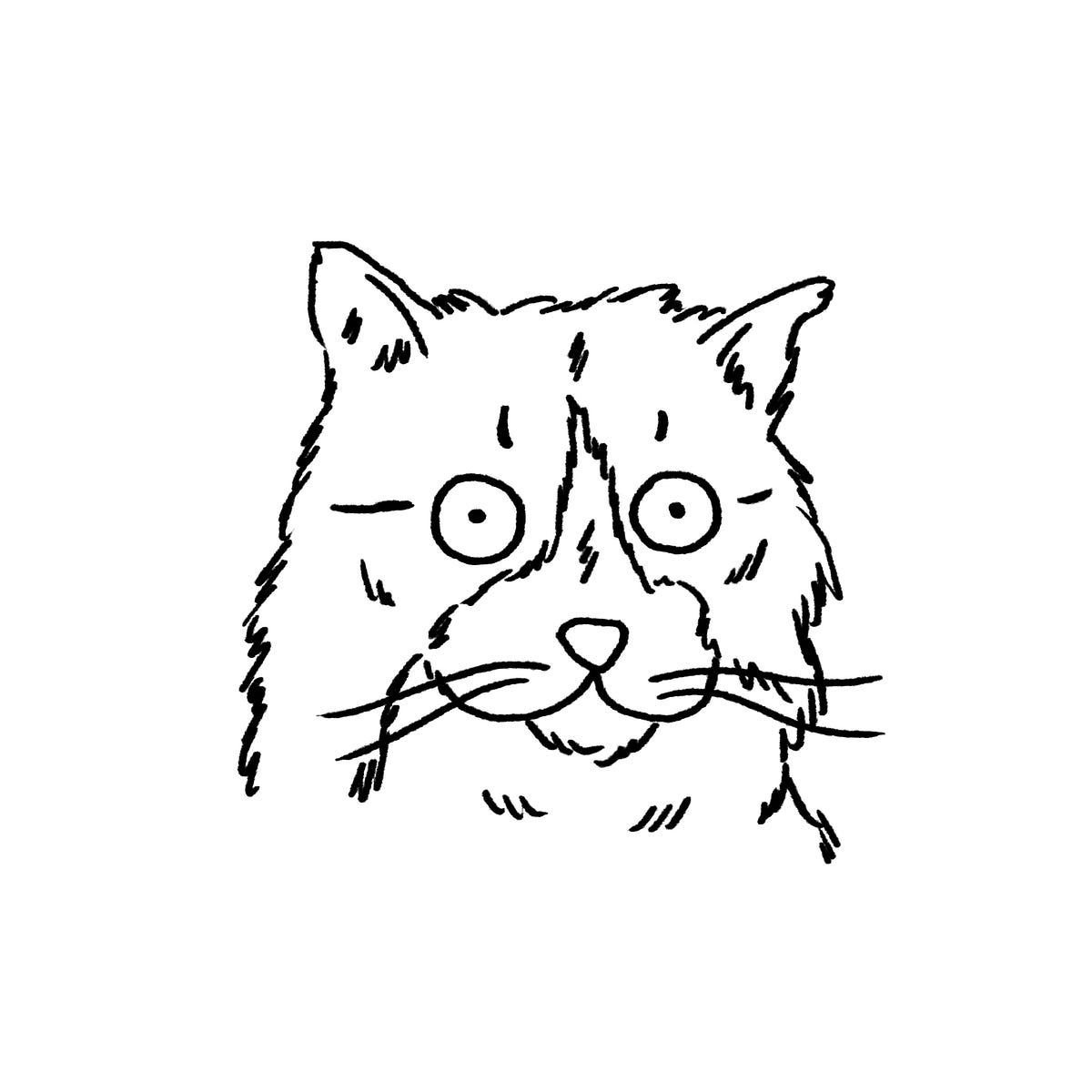 The Animal Shelter Medium The Animal Shelter Medium