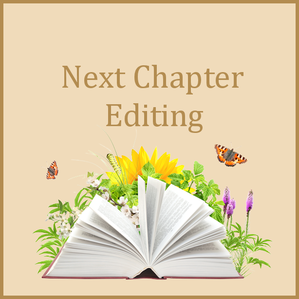 Next Chapter Editing – Medium