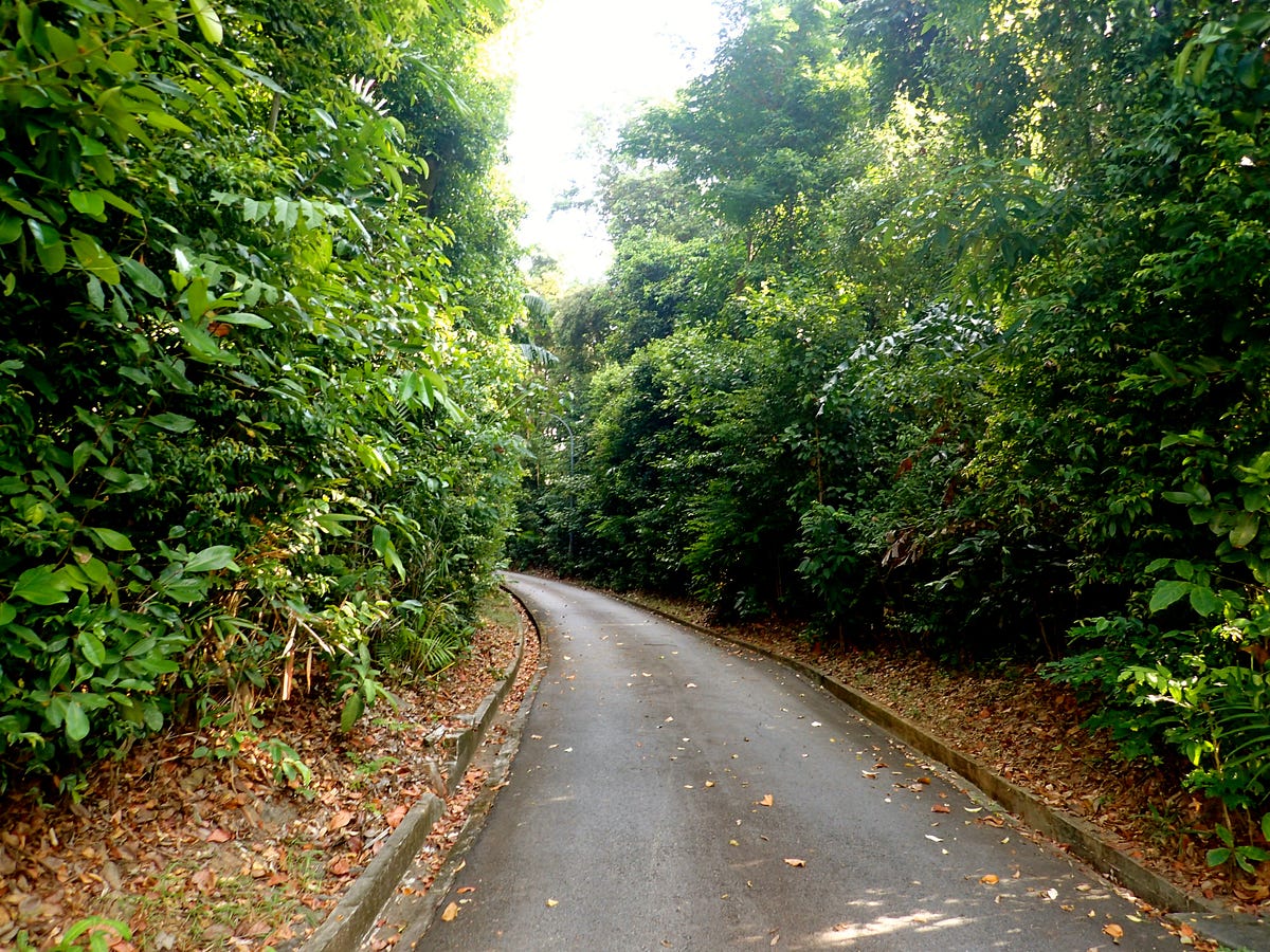 Singapore Sundays 6: Fort Serapong & Sentosa Cove – Singapore Sundays ...