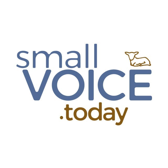 Small Voice Today - Medium