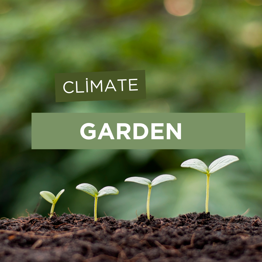 Climate Garden - Medium