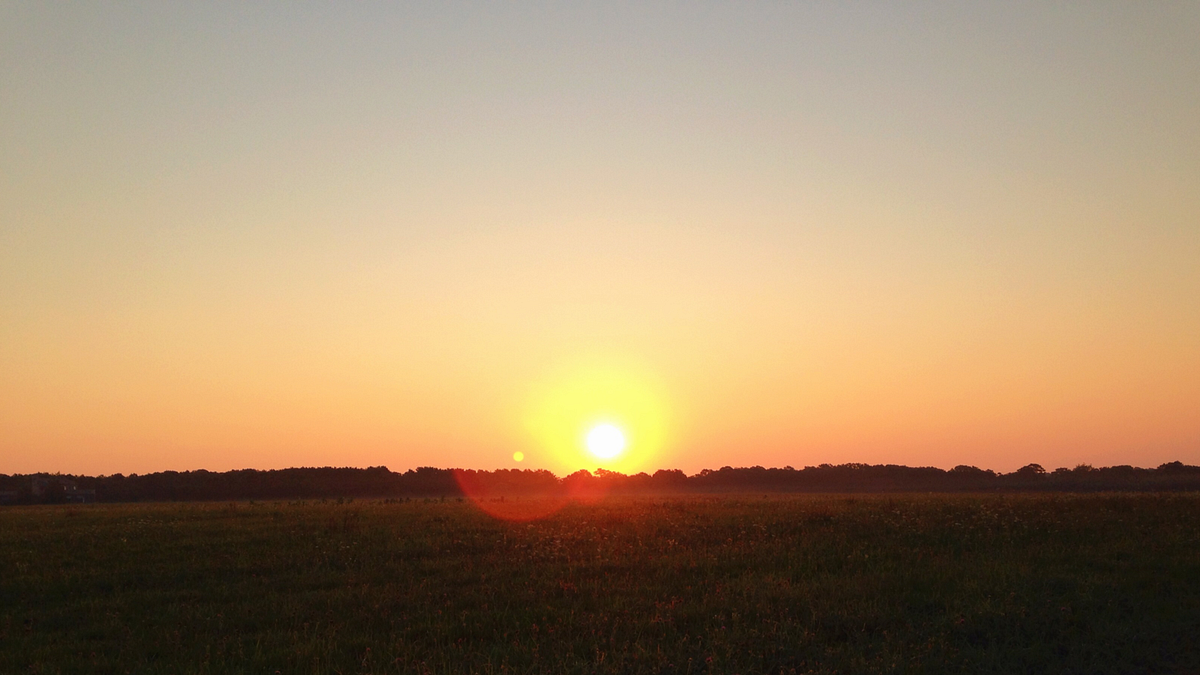 Morning Do – Medium