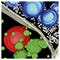 Plant Cell Extracts - Medium