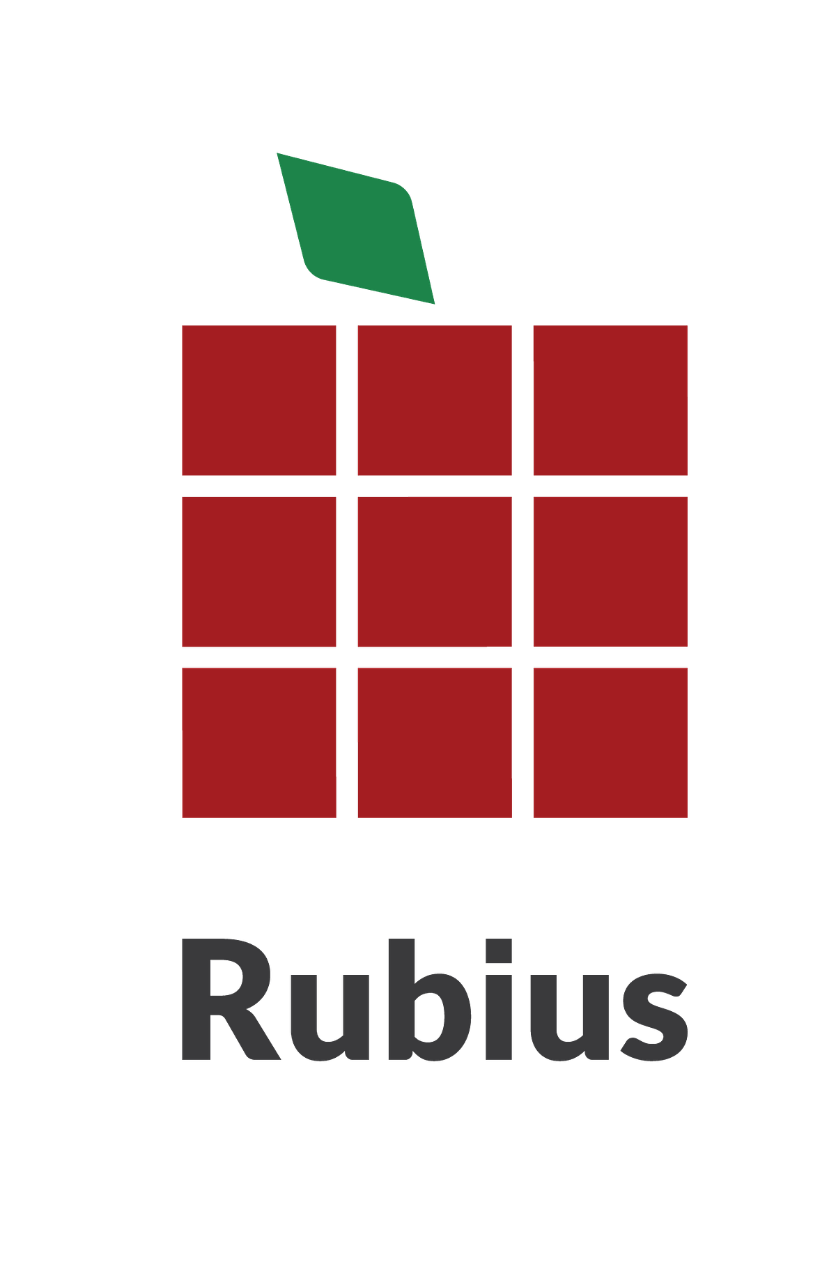 Rubius Company - Medium