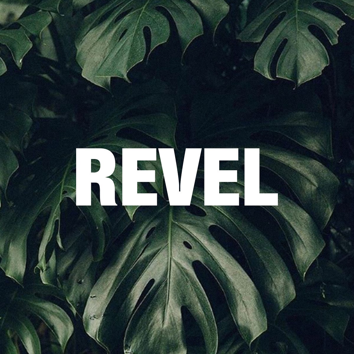 Revel: Your Pleasure Guide – Medium