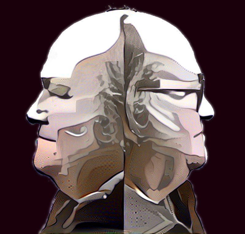 The Janus Web - Medium