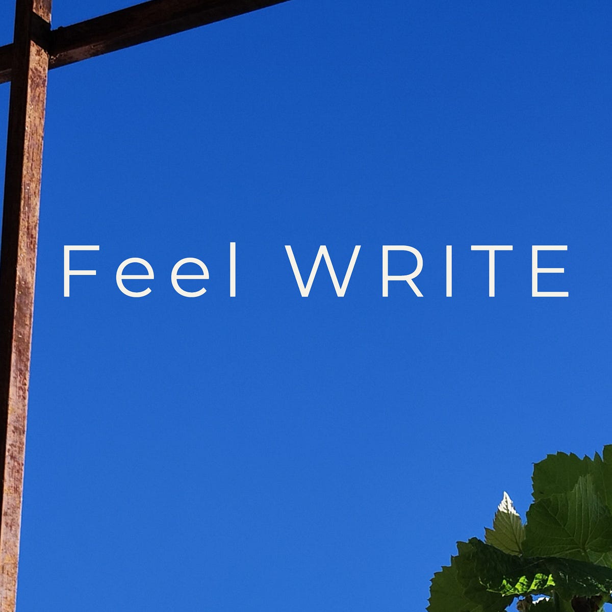 Feel WRITE – Medium