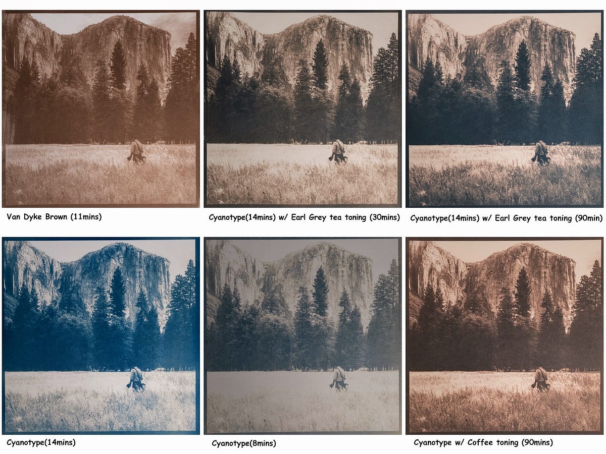 An Introduction to Photography Techniques: Cyanotype