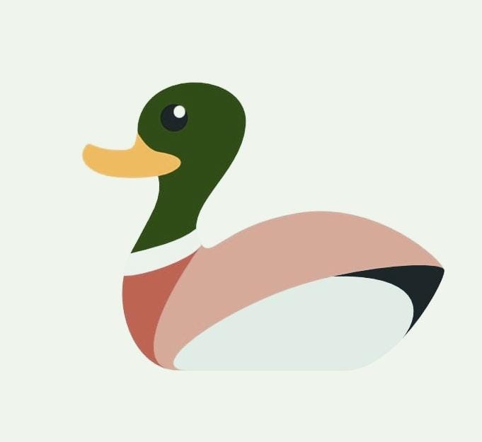 Projeto Pato - Medium