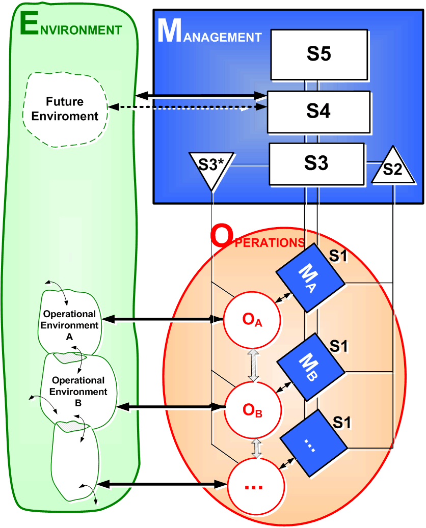 Viable System Model - Medium