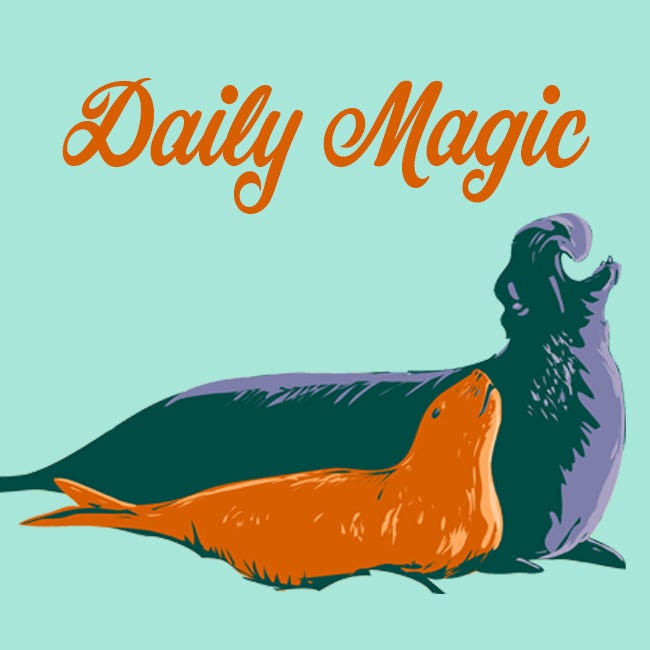 Daily Magic - Medium