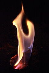 340 Degrees Fahrenheit – Medium