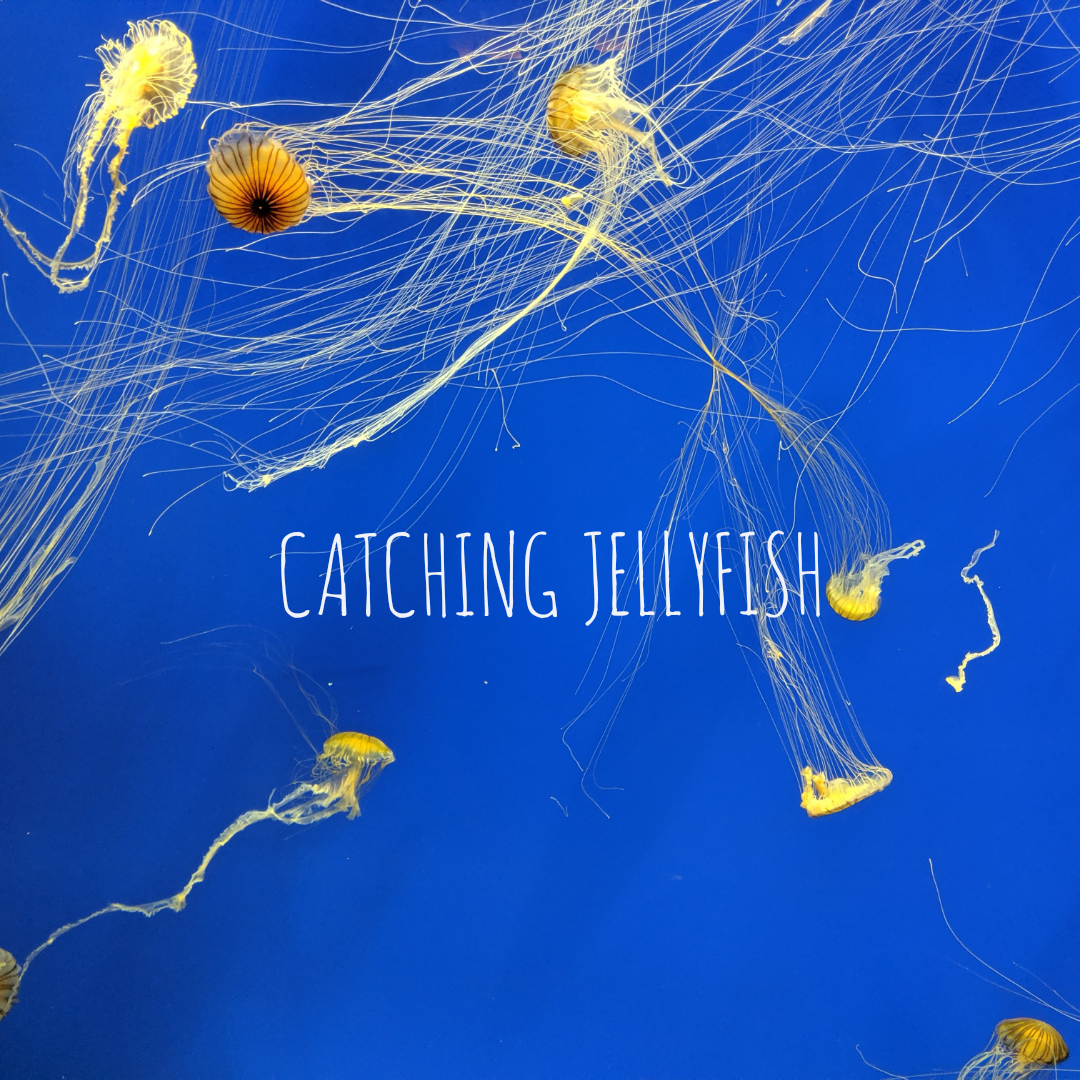 Catching Jellyfish - Medium