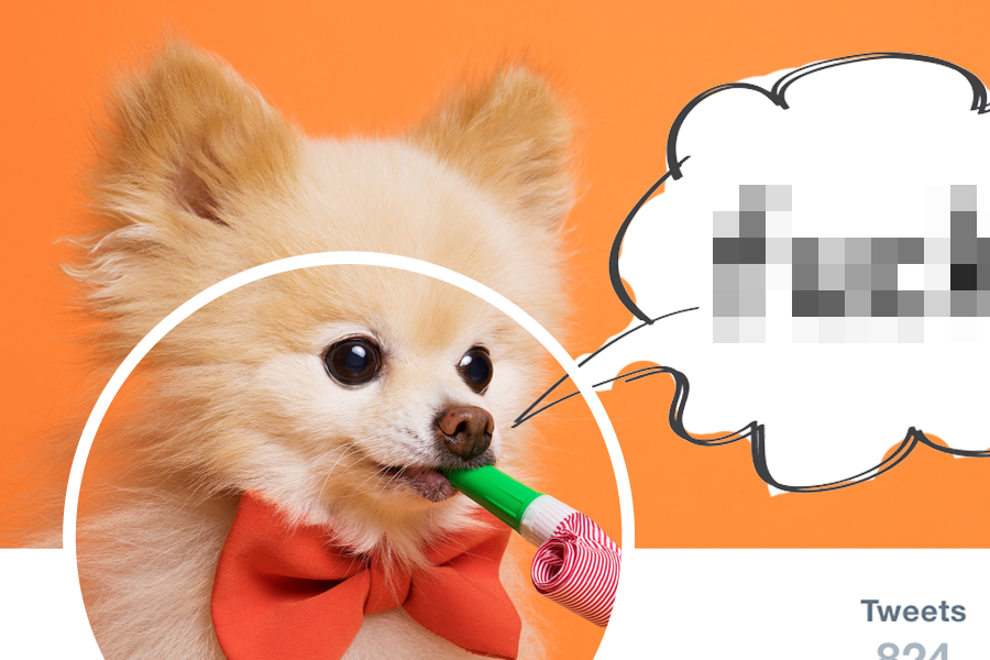 The Phenomenon of the Dog Avatar – MEL Magazine – Medium